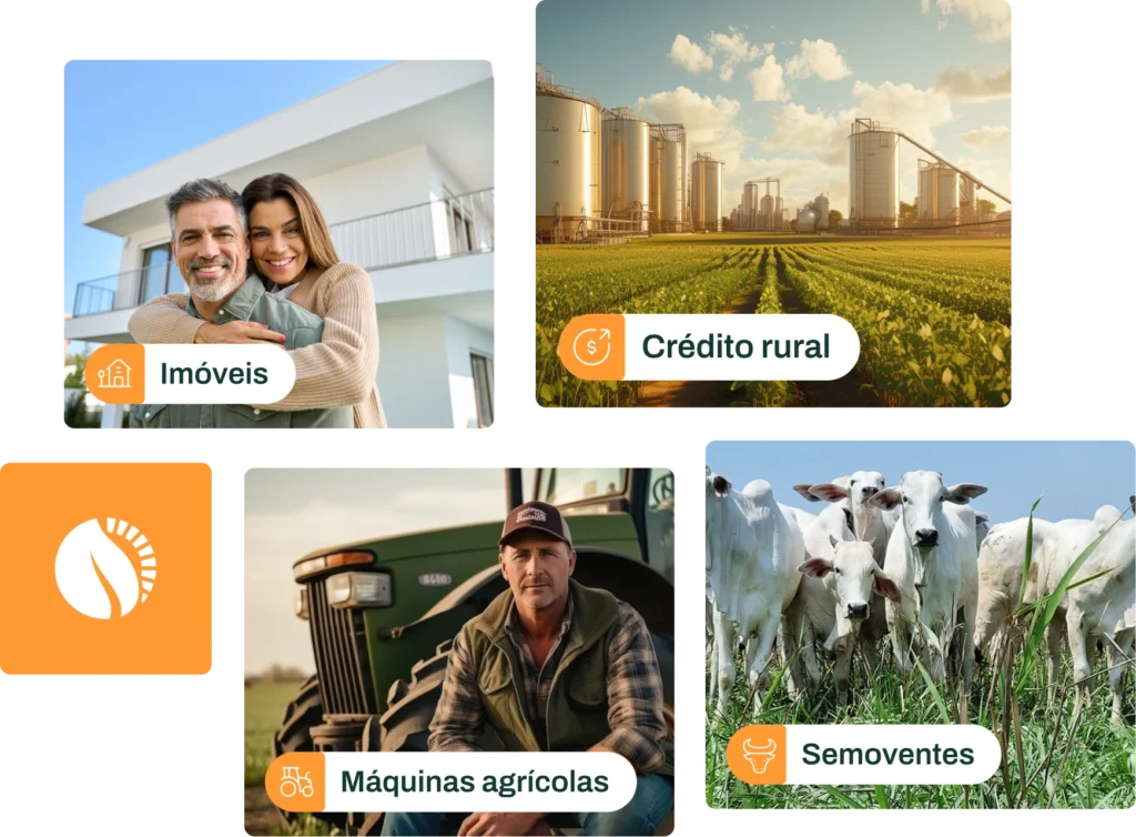 Elementor #107 – Focus 360°